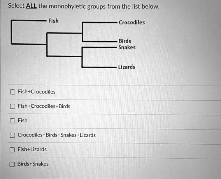 select all the monophyletic groups from the list below fish crocodiles ...
