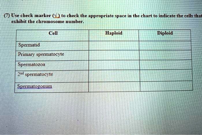 SOLVED: 7 Use check markerto check the appropriate space in the chart ...