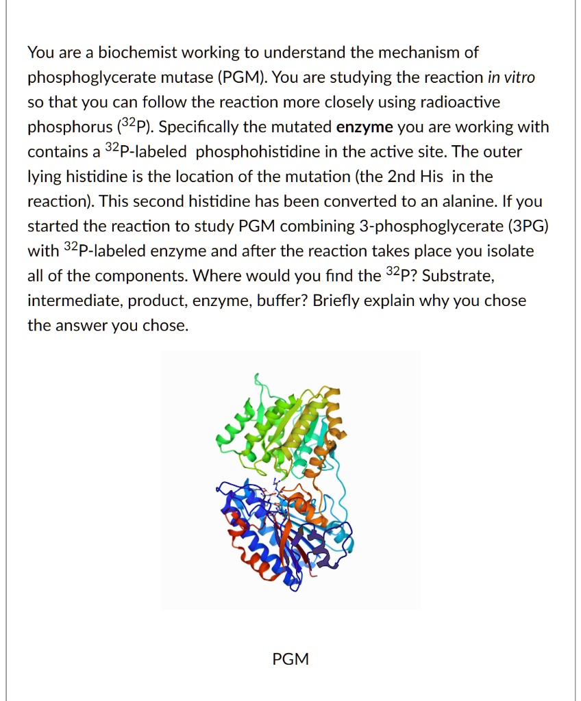 SOLVED: You are a biochemist working to understand the mechanism of ...