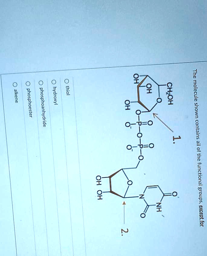 SOLVED: OH The HO CHOH molecule HO shown 07 O=O contains all the ...