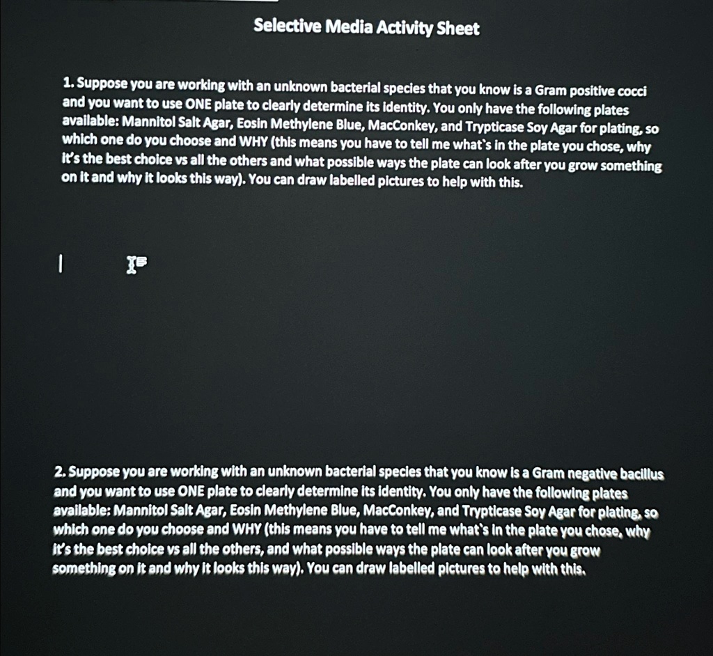 Solved Selective Media Activity Sheet 1 Suppose You Are Working With