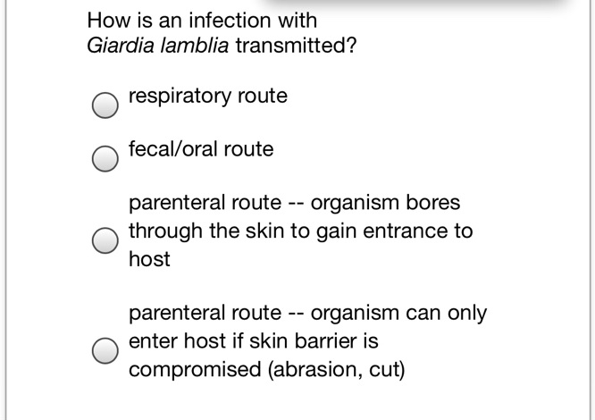 How is an infection with Giardia lamblia transmitted? respiratory route ...