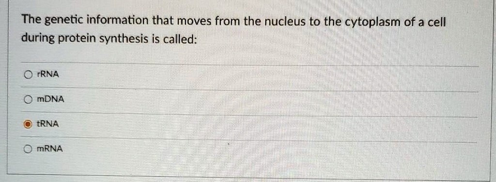SOLVED: The genetic information that moves from the nucleus to the ...