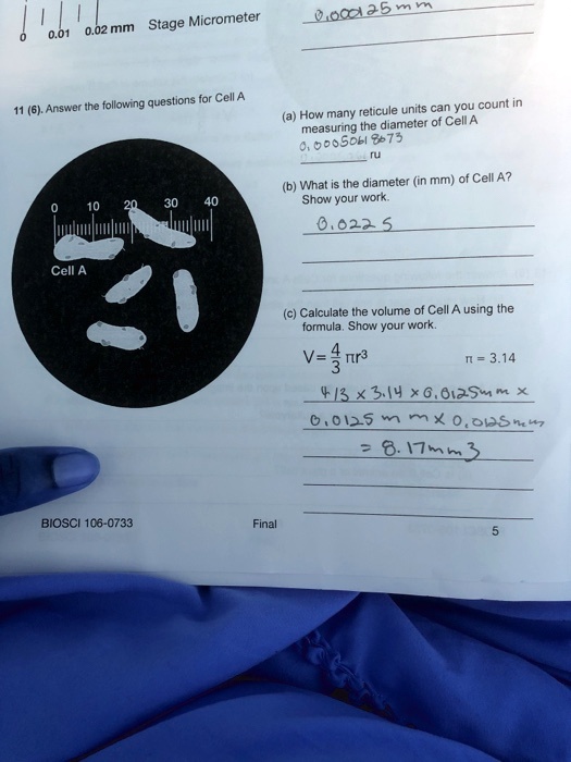 SOLVED: Stage Micrometer 0.01 0.02 mm JOOA 11 (6. Answer the following ...