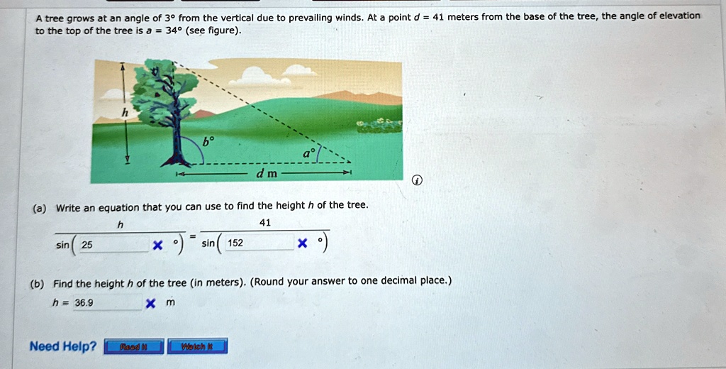 a tree grows at an angle of 3o from the vertical due to prevailing ...