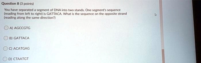 SOLVED:Question 8 (3 points) You have separated segment of DNA into two ...