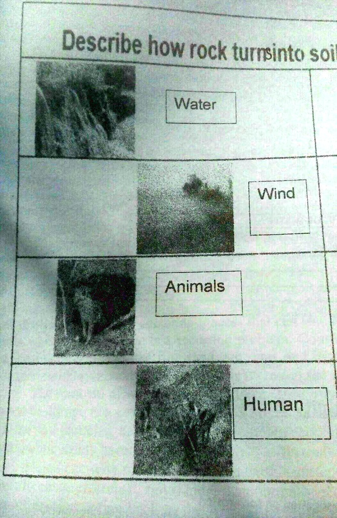 Describe how rock turns into soil
