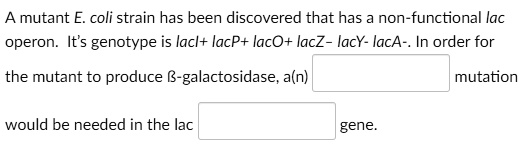 SOLVED: A mutant E coli strain has been discovered that has non ...