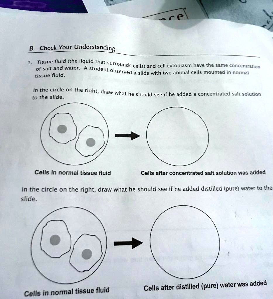 [GET ANSWER] check your understanding tissue fluid the liquid that of ...