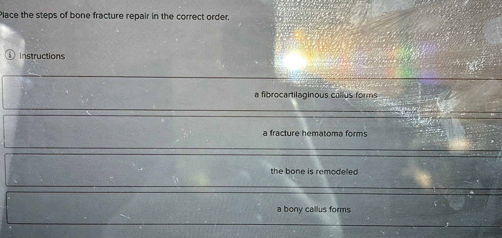 [GET ANSWER] place the steps of bone fracture repair in the correct ...