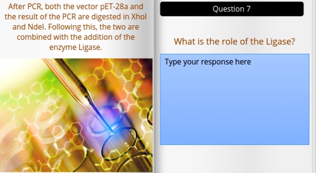 After PCR, both the vector pET-28a and the result of the PCR are ...