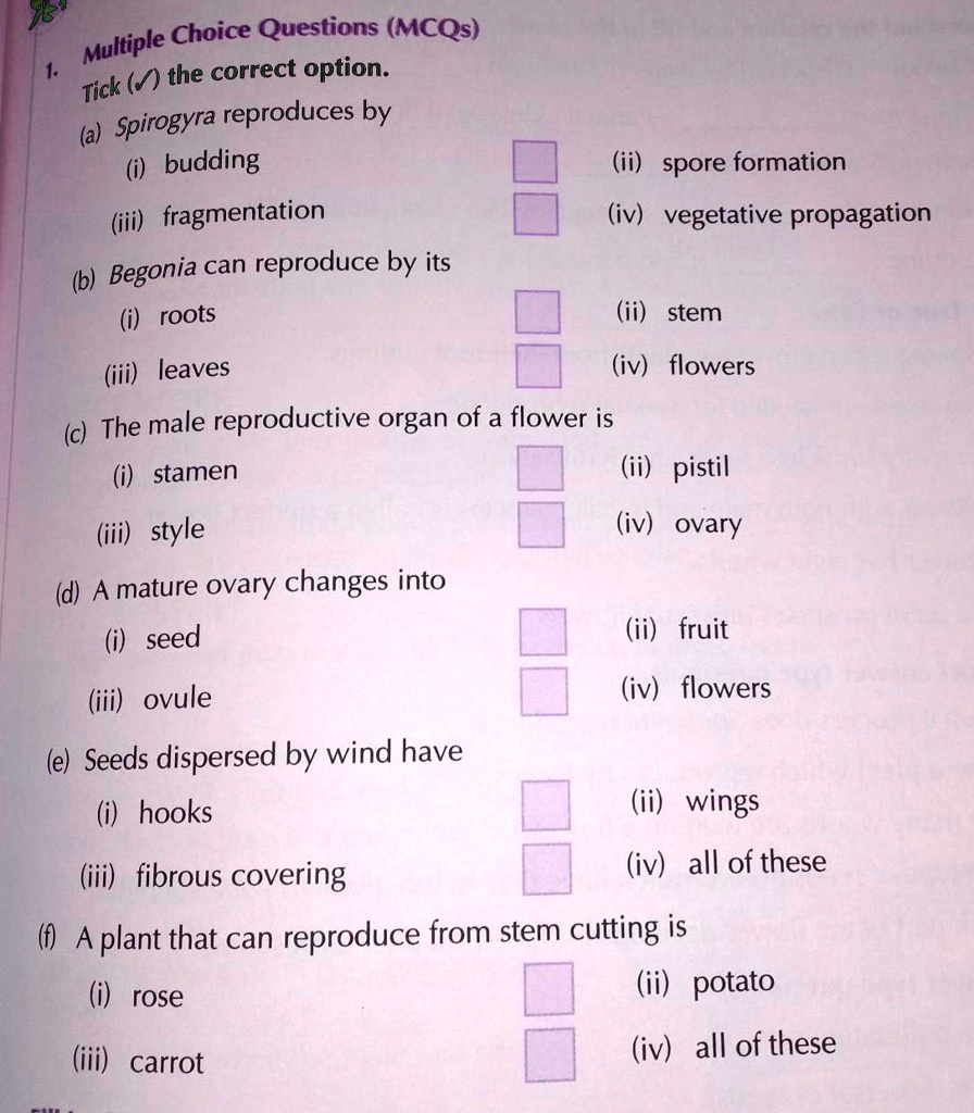 SOLVED: Tick the correct option. Multiple Choice Questions (MCQs): Tick the correct option: 1 ...