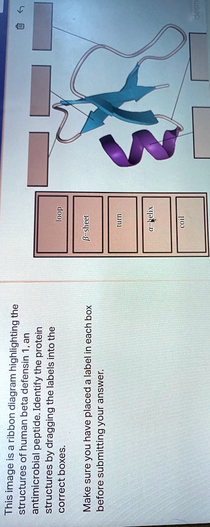 This image is a ribbon diagram highlighting the structures of human ...