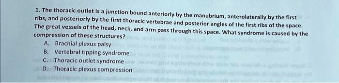 1 the thoracic outlet is a junction bound anteriorly by the manubrium ...