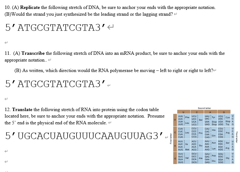 SOLVED: 10. (A) Replicate the following stretch of DNA; be sure to ...