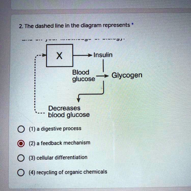 2. The dashed line in the diagram represents * X Insulin Blood glucose ...
