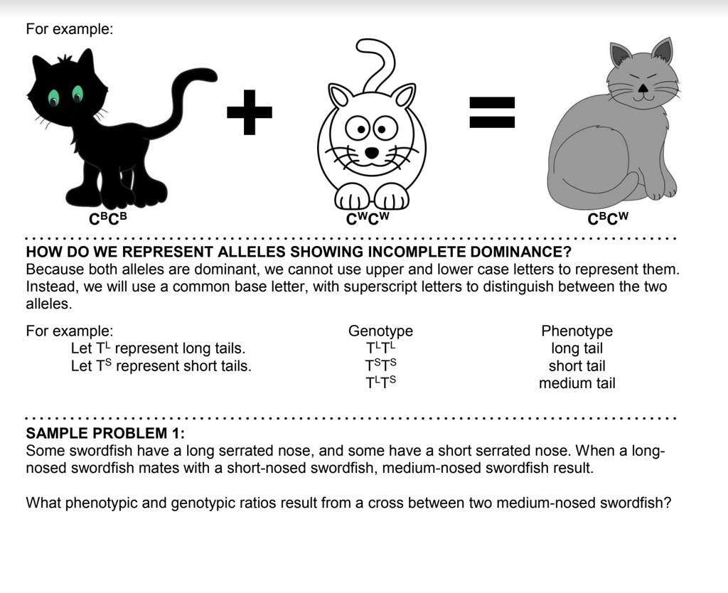 SOLVED: HOW DO WE REPRESENT ALLELES SHOWING INCOMPLETE DOMINANCE ...