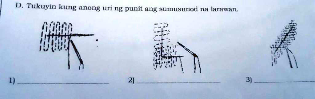 D. Tukuyin kung anong uri ng punit ang sumusunod na larawan. 1) 2) 3)