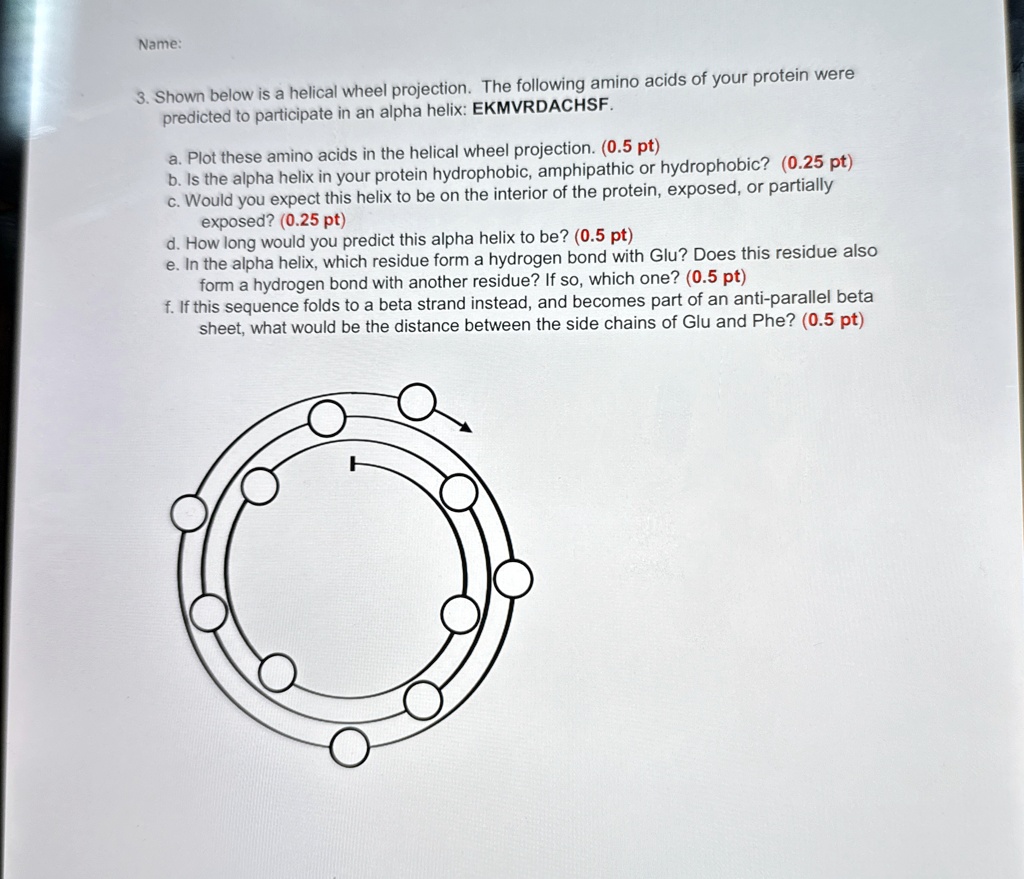3 shown below is a helical wheel projection the following amino acids ...