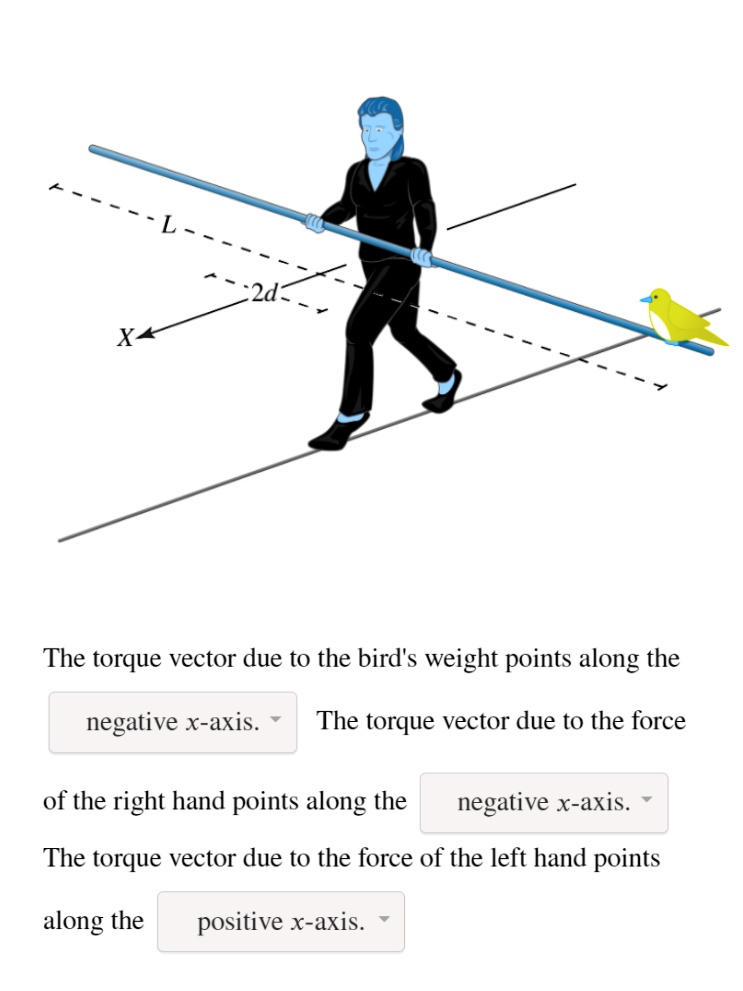 the torque vector due to the birds weight points along the negative x ...