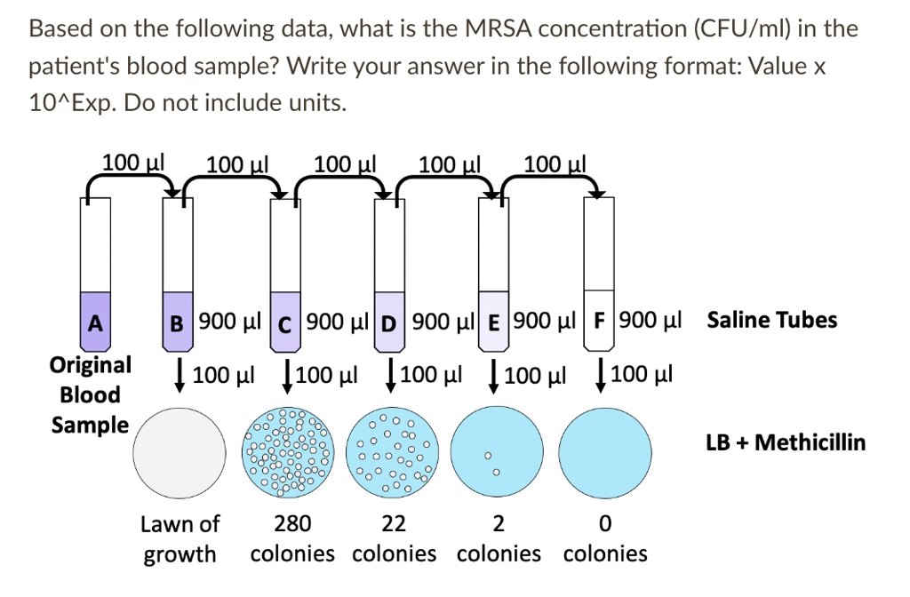 SOLVED: A. Based on the following data, what is the MRSA concentration ...