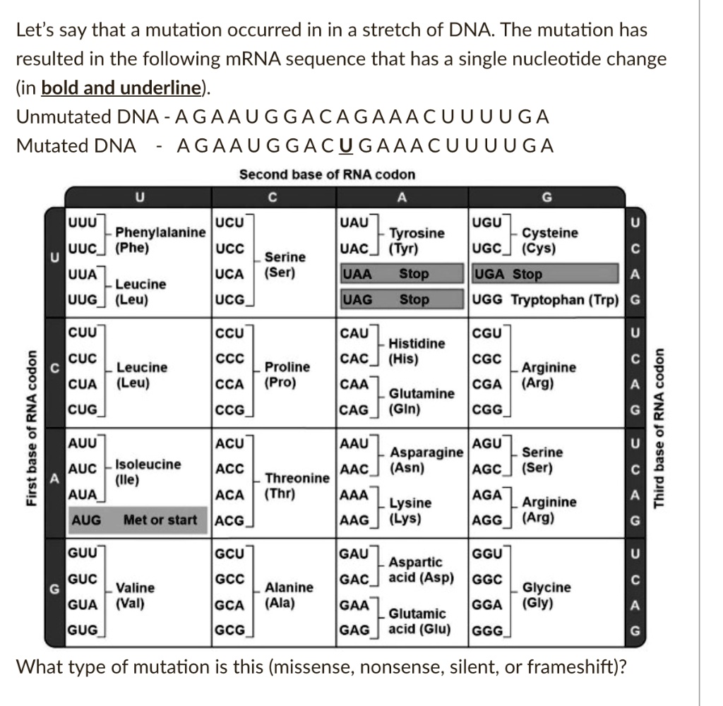 SOLVED: Let's say that a mutation occurred in a stretch of DNA. The mutation has resulted in the ...