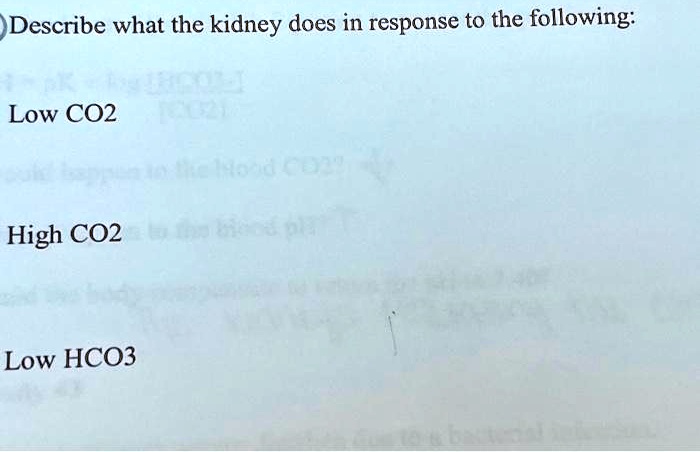 SOLVED: Texts: Describe what the kidney does in response to the ...