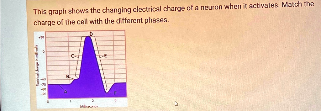 This graph shows the changing electrical charge of a neuron when it ...