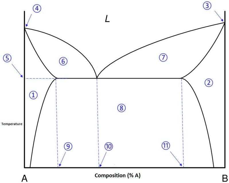 SOLVED: Consider the phase diagram of the hypothetical A-B system shown ...
