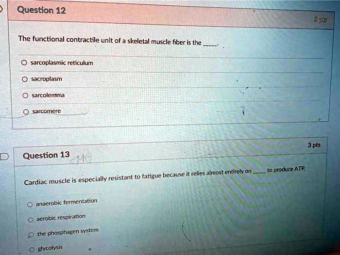 question 12 the functional contractile unit of skeletal muscle fiber is ...