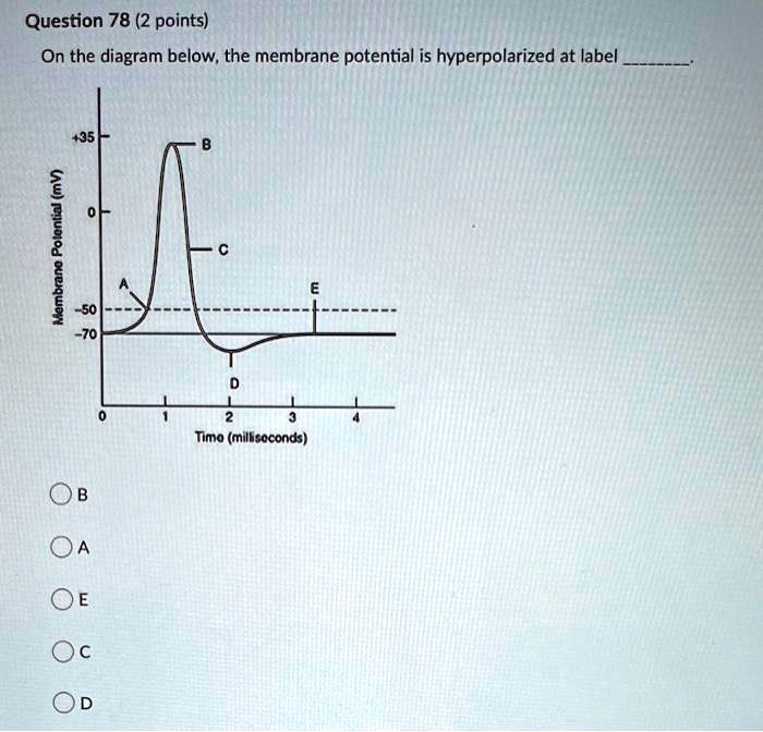 SOLVED: Question 78 (2 points) On the diagram below, the membrane ...