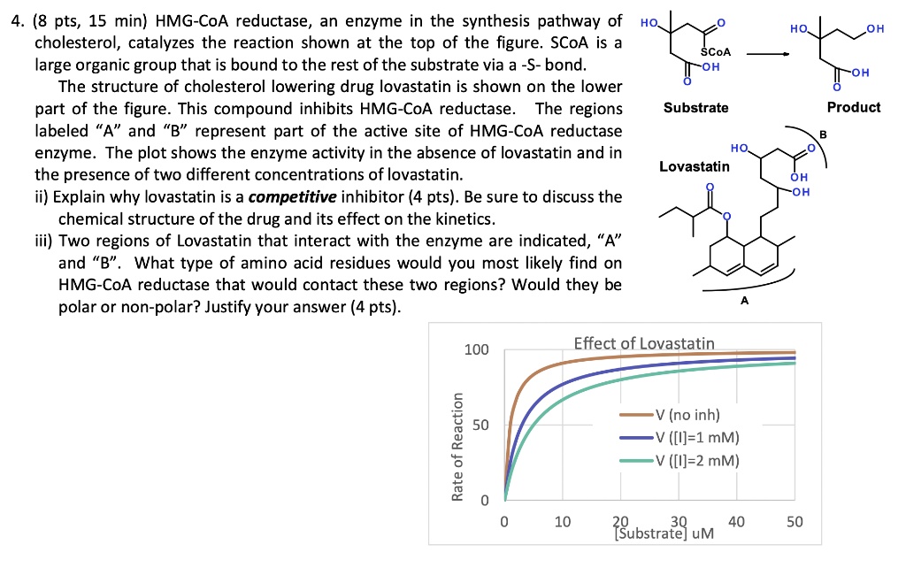 VIDEO solution: HMG-CoA reductase, an enzyme in the synthesis pathway ...