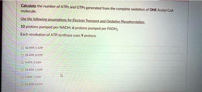SOLVED: Text: Calculate the number of ATPs and GTPs generated from the ...