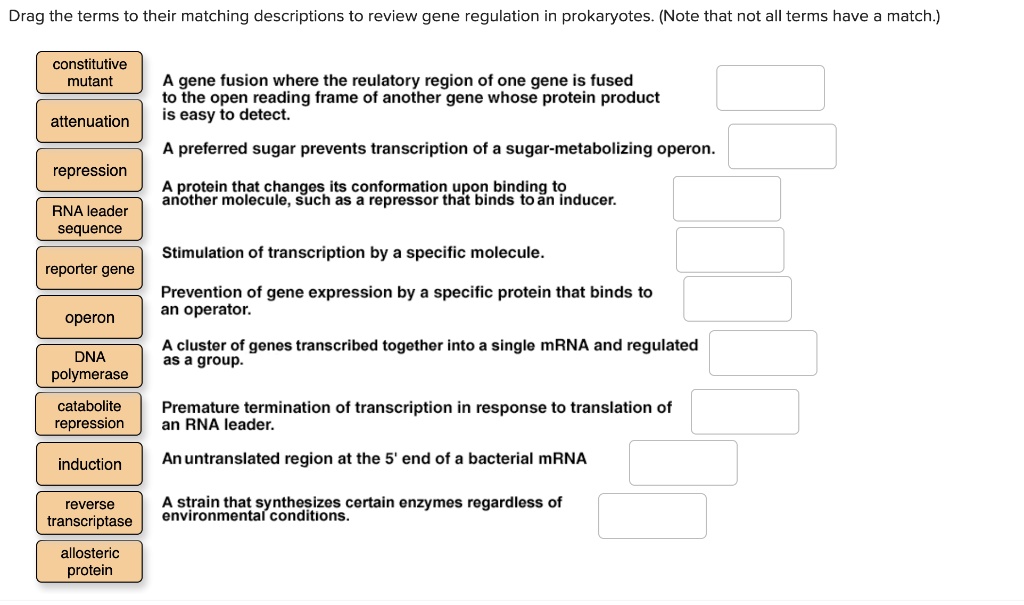 constitutive mutant Drag the terms to their matching descriptions to ...
