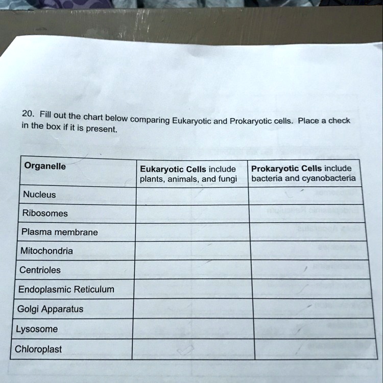 'Need help I don’t understand 20. Fill out the chart below in the box ...