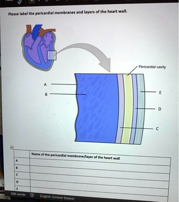 Please label the pericardial membranes and layers of the...