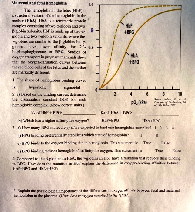 SOLVED: Maternal and fetal hemoglobin The hemoglobin in the fetus (HbF ...