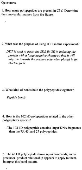 QUESTIONS 1. How many polypeptides are present in C3c?...