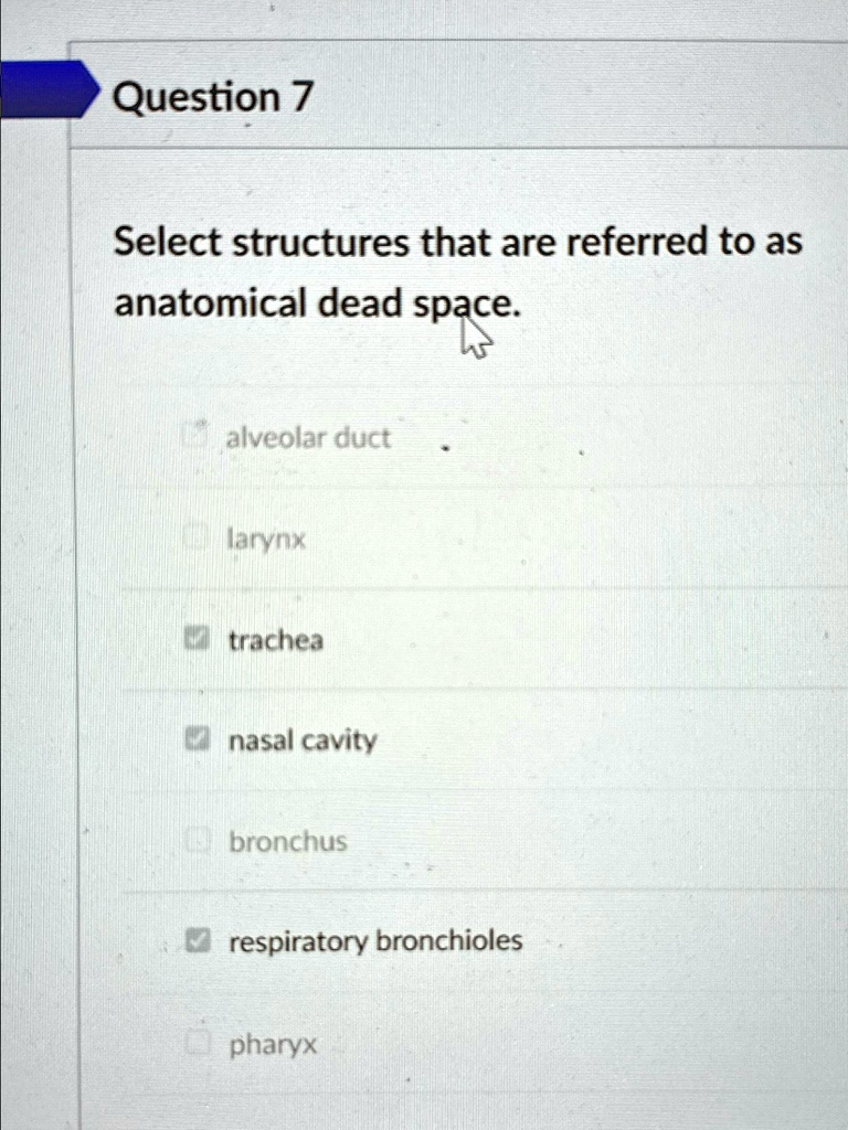 SOLVED: Question 7 Select structures that are referred to as anatomical ...