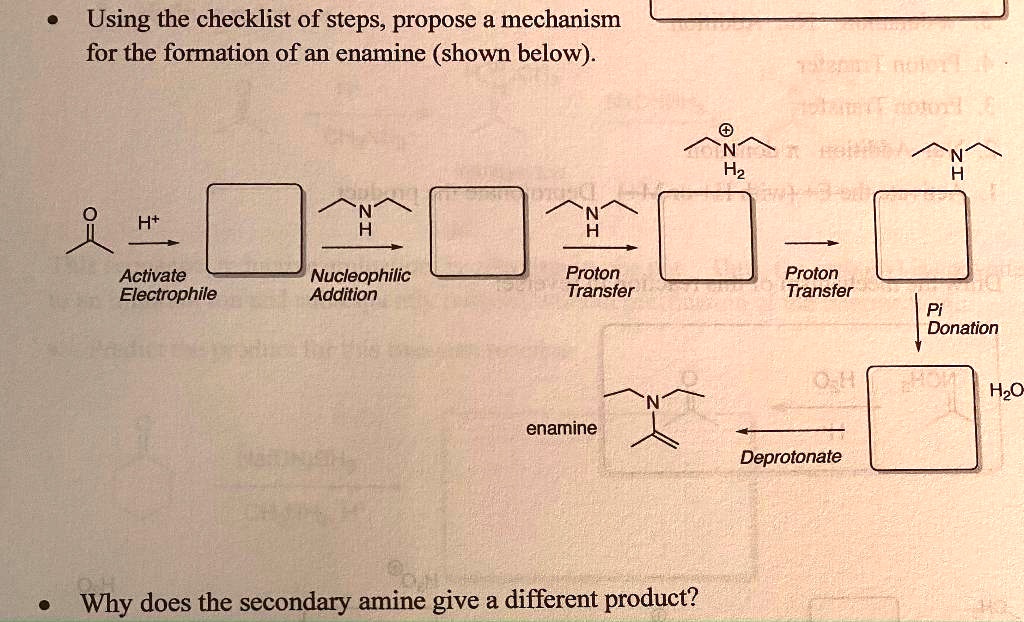 using the checklist of steps propose a mechanism for the formation of ...