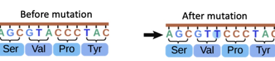 SOLVED: Texts: Recent discoveries on causes of fragile-X syndrome and ...