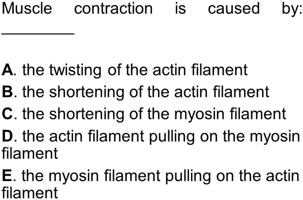 SOLVED: Muscle contraction is caused by: A the twisting of the actin ...