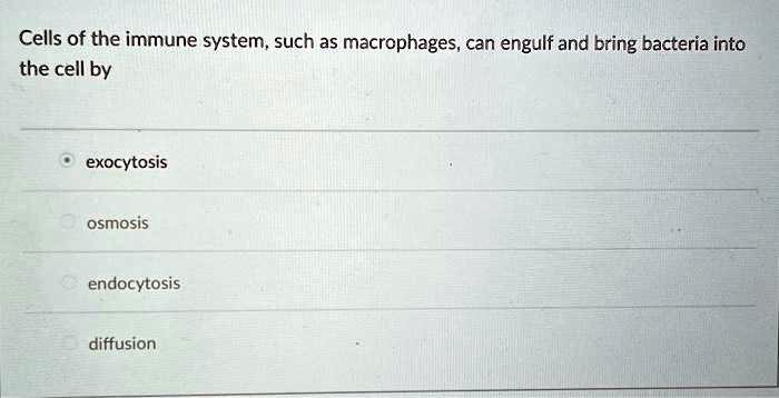 SOLVED: Text: Cells of the immune system, such as macrophages, can ...