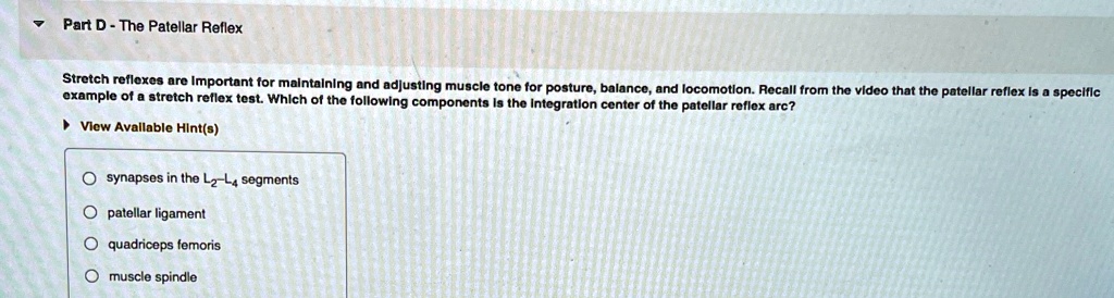 part d the patellar reflex stretch reflexes are important for ...
