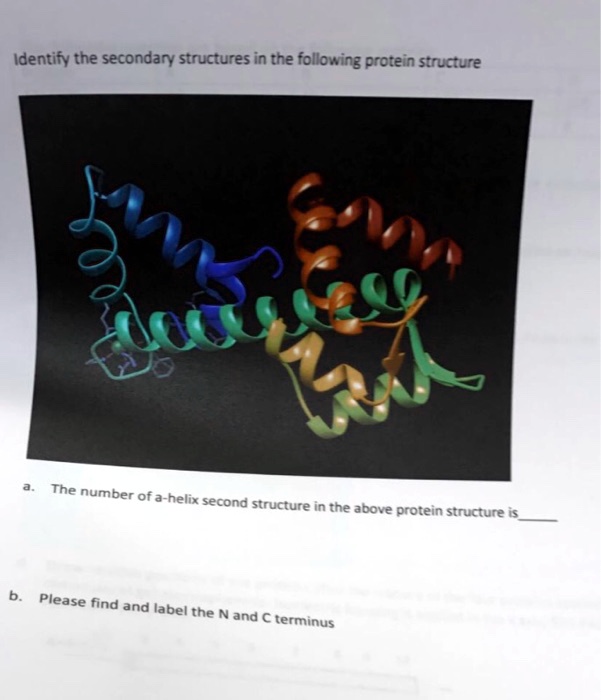 Identify the secondary structures in the following protein structure a ...