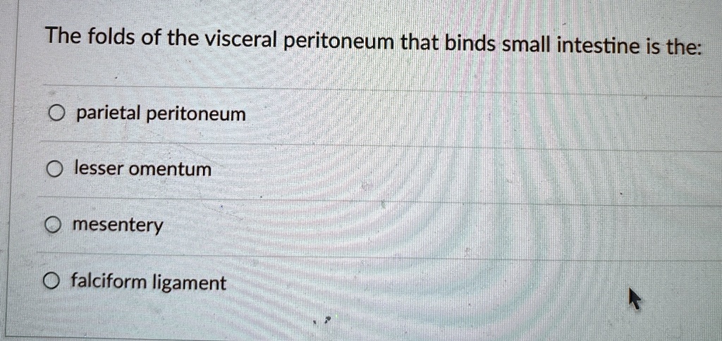 the folds of the visceral peritoneum that binds small intestine is the ...