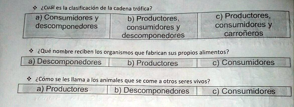 SOLVED: ayudaaaa porfaaaaAaaaa@aaaaa@aaaa@aaaaa Cuál es la ...
