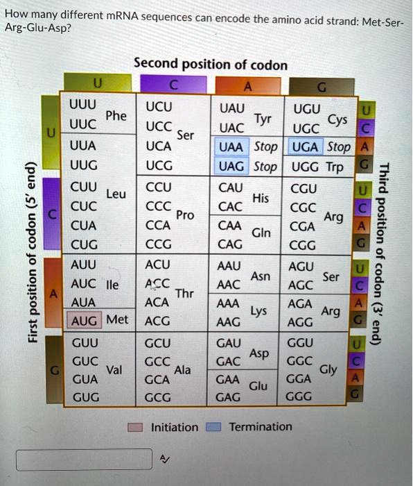 how many different mrna sequences can encode the amino acid strand met ...