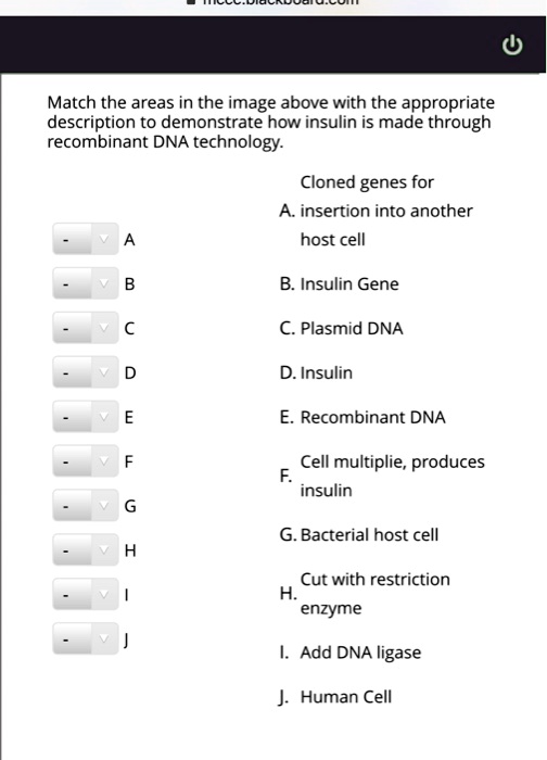 match the areas in the image above with the appropriate description to ...