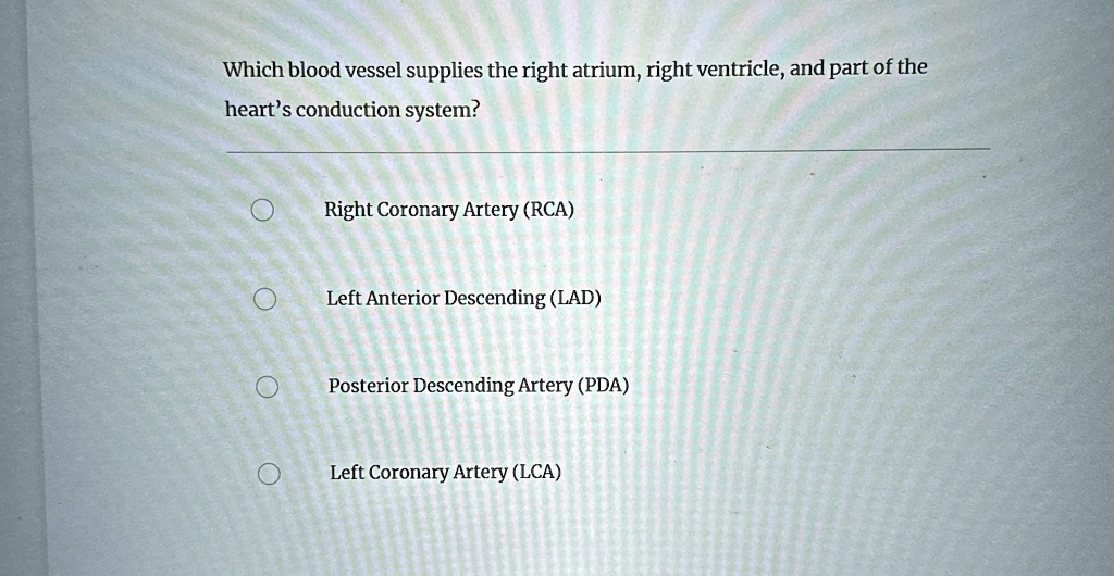 which blood vessel supplies the right atrium right ventricle and part ...
